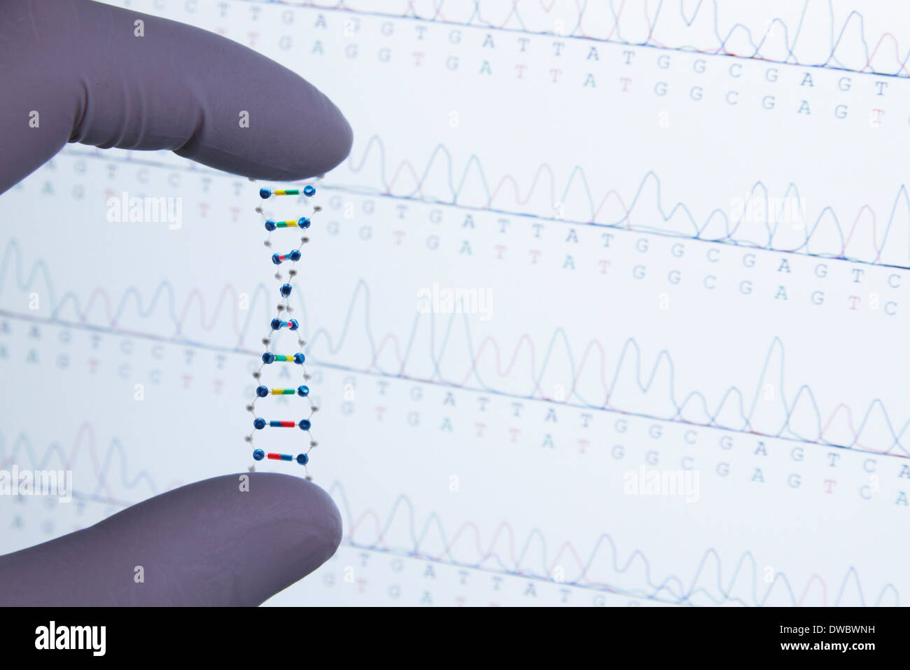 Model of DNA molecule, DNA sequencing in background Stock Photo - Alamy