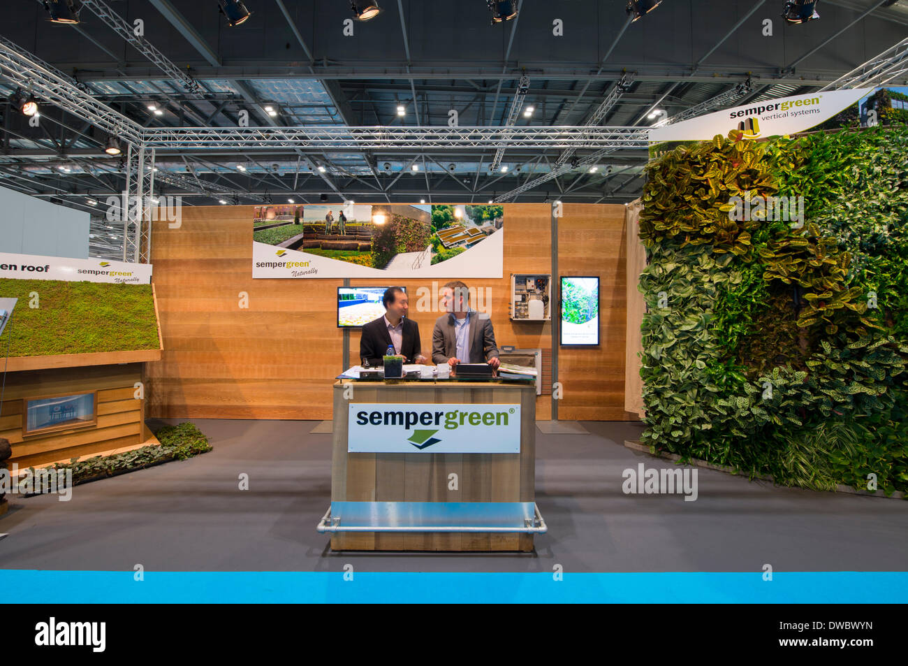 Sempergreen hi-res stock photography and images - Alamy