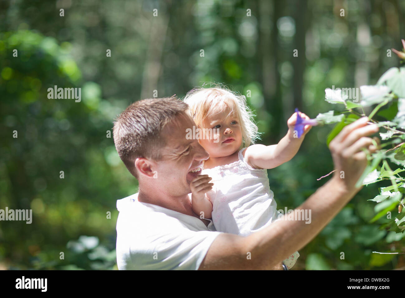 Plucking flowers hi-res stock photography and images - Alamy