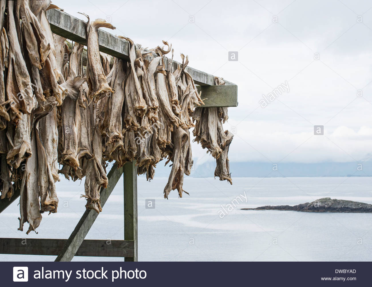 Hanging Dried Fish High Resolution Stock Photography and Images - Alamy