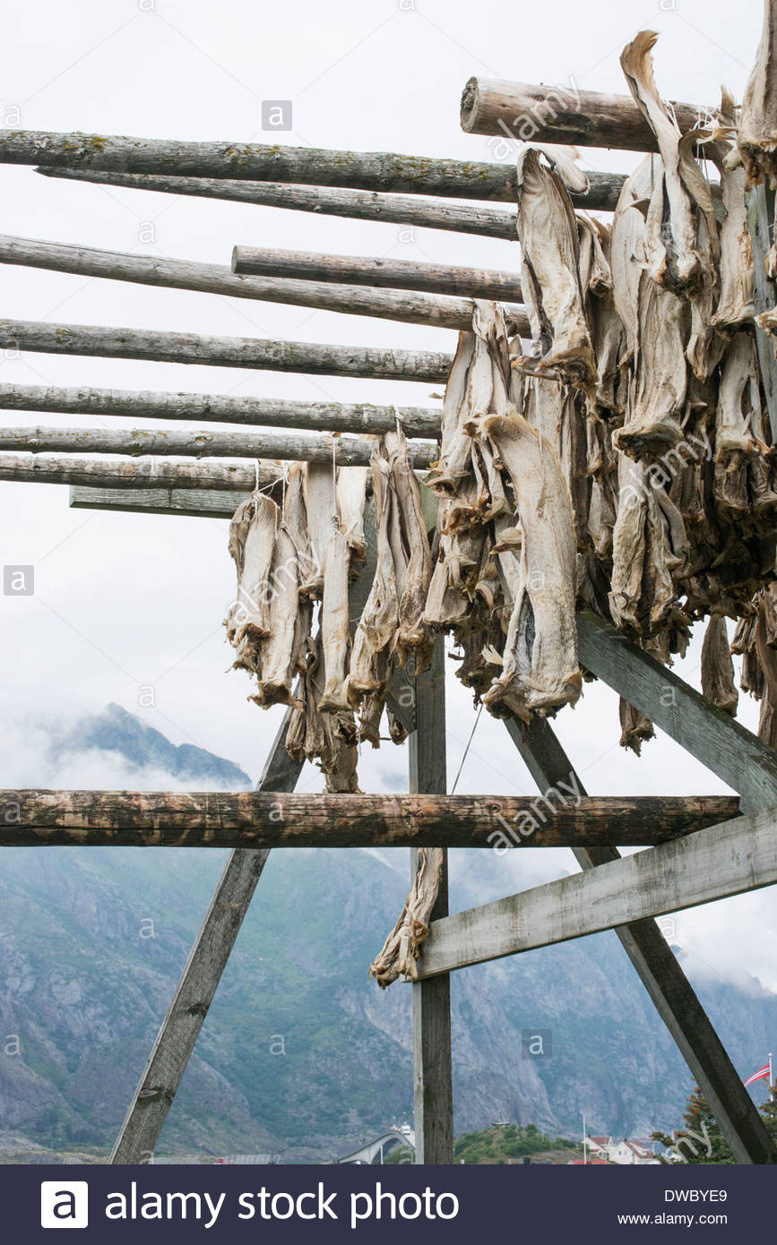 Dry Fish High Resolution Stock Photography and Images - Alamy