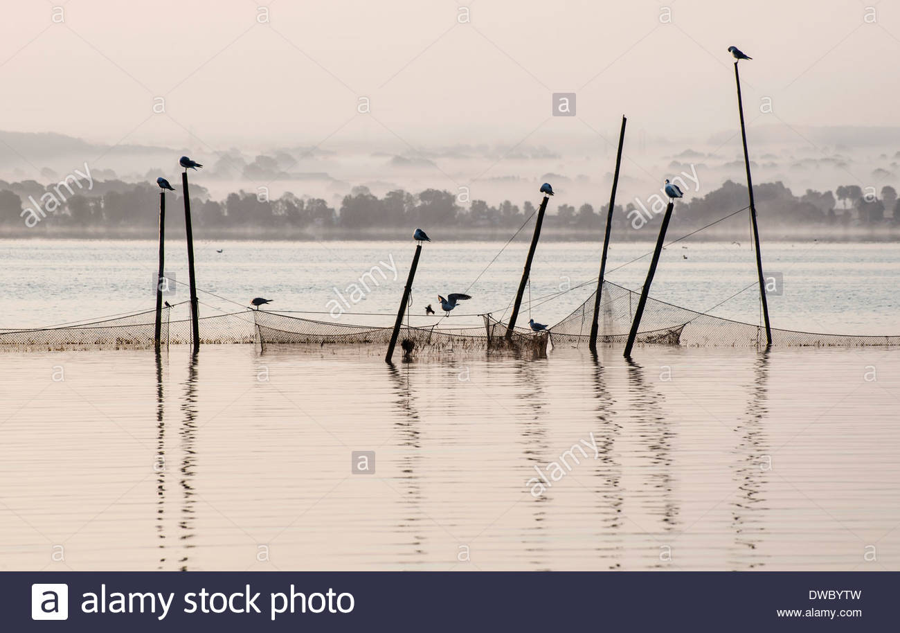 Coloured Birds High Resolution Stock Photography and Images - Alamy