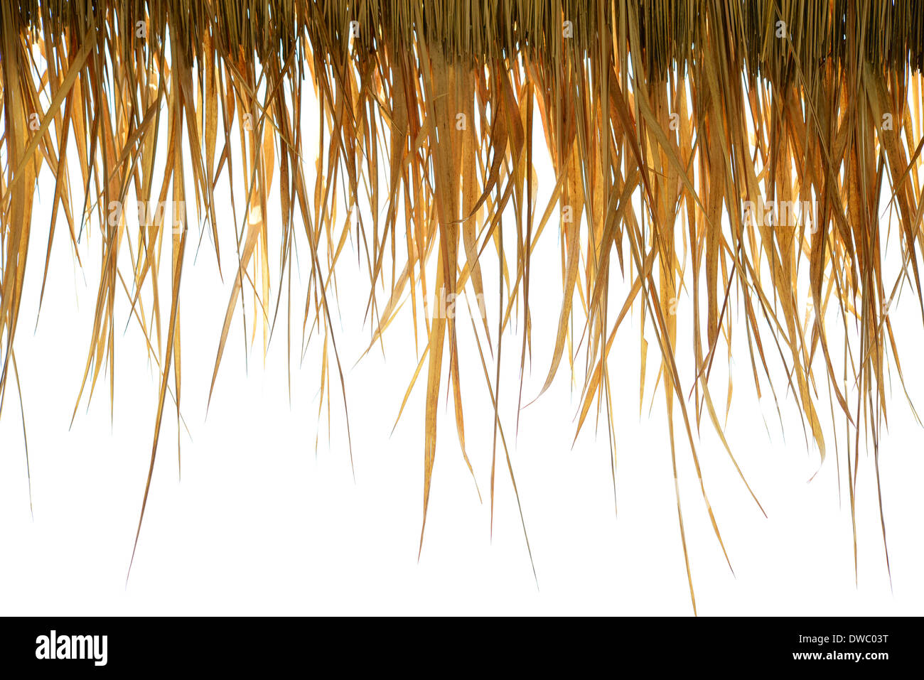 Woven roof hi-res stock photography and images - Alamy