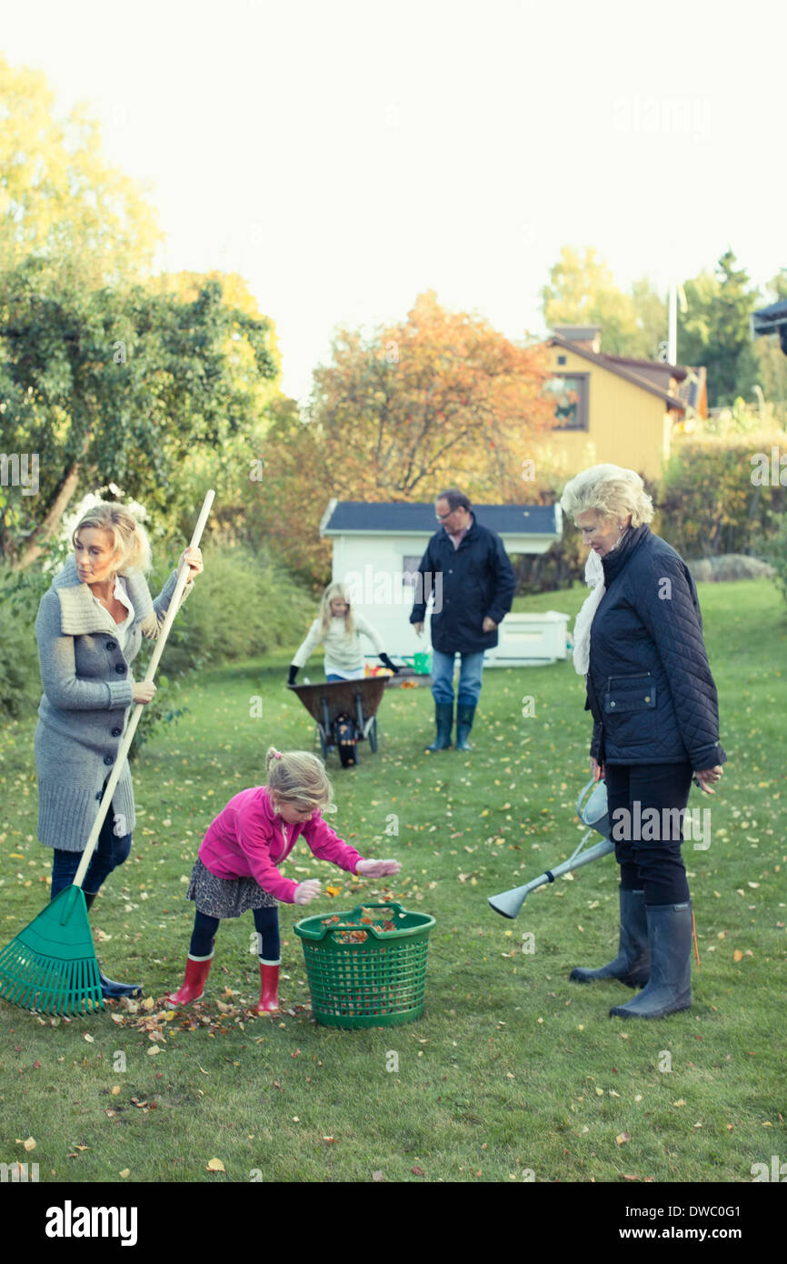 Family raking autumn leaves at yard Stock Photo - Alamy