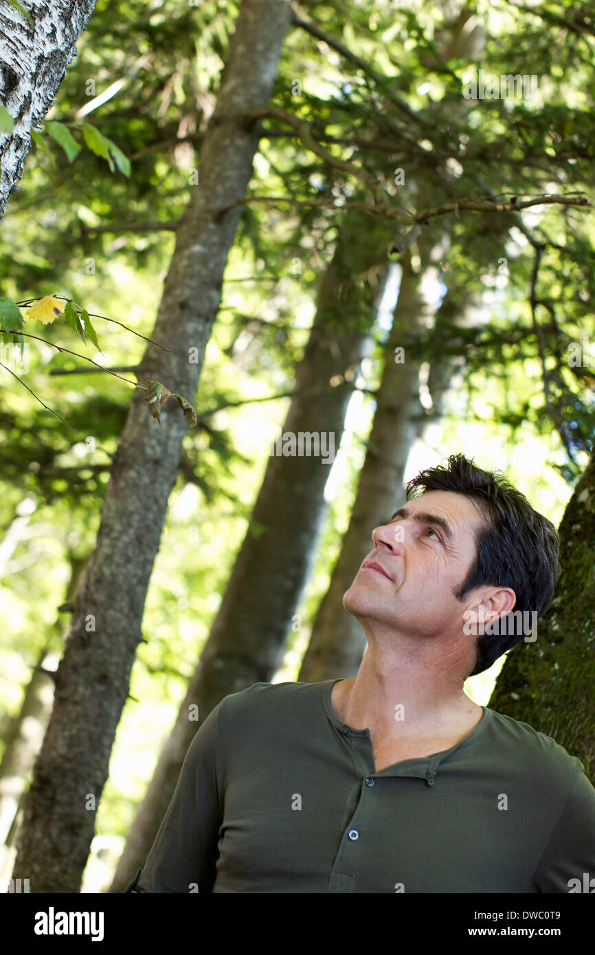 Mature man looking up at trees in forest Stock Photo - Alamy