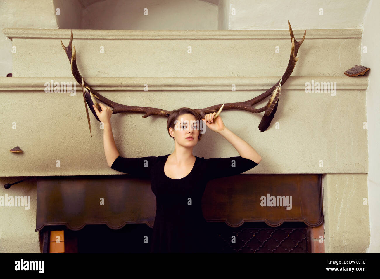 Young antlers hi-res stock photography and images - Alamy