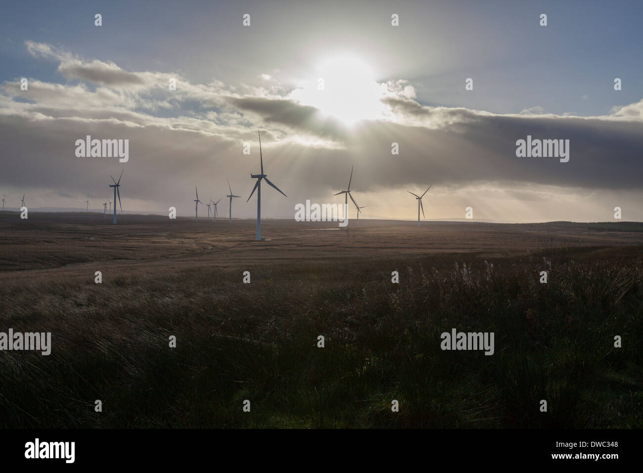 ScottishPower Whitelee wind farm, Eaglesham moor, Ayrshire Stock Photo ...