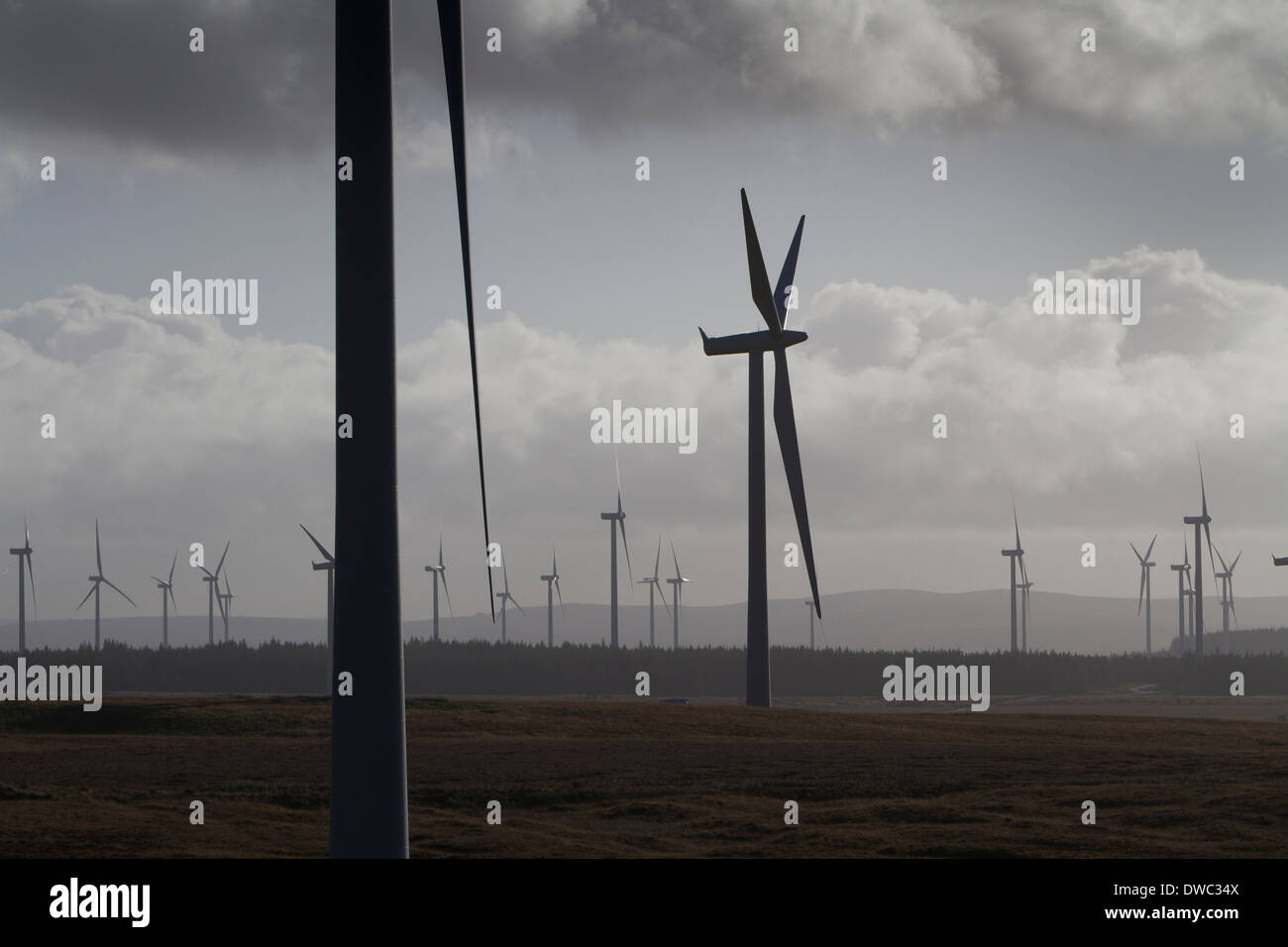 ScottishPower Whitelee wind farm, Eaglesham moor, Ayrshire Stock Photo ...