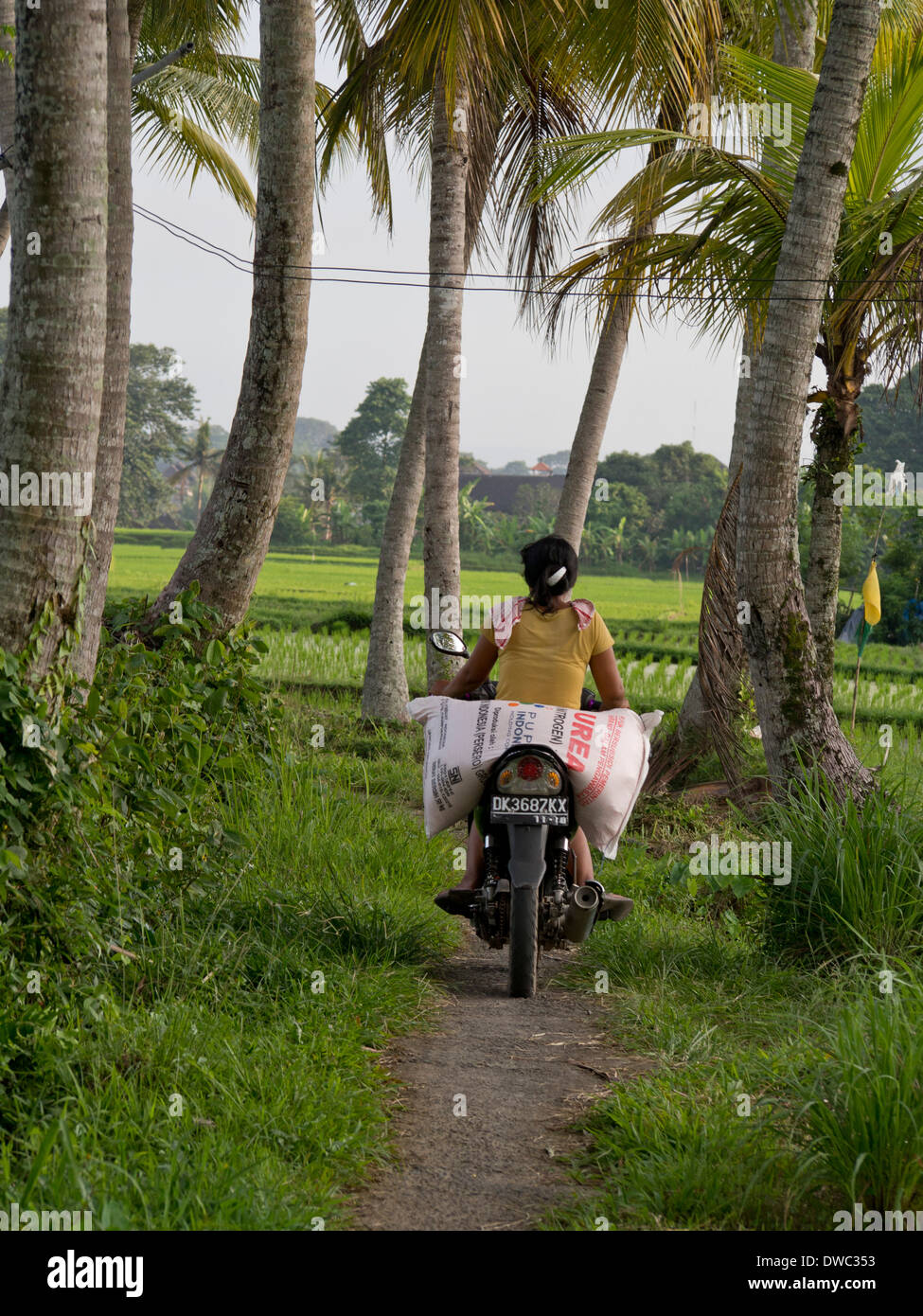 Farmer carrying sack paddy hi-res stock photography and images - Alamy