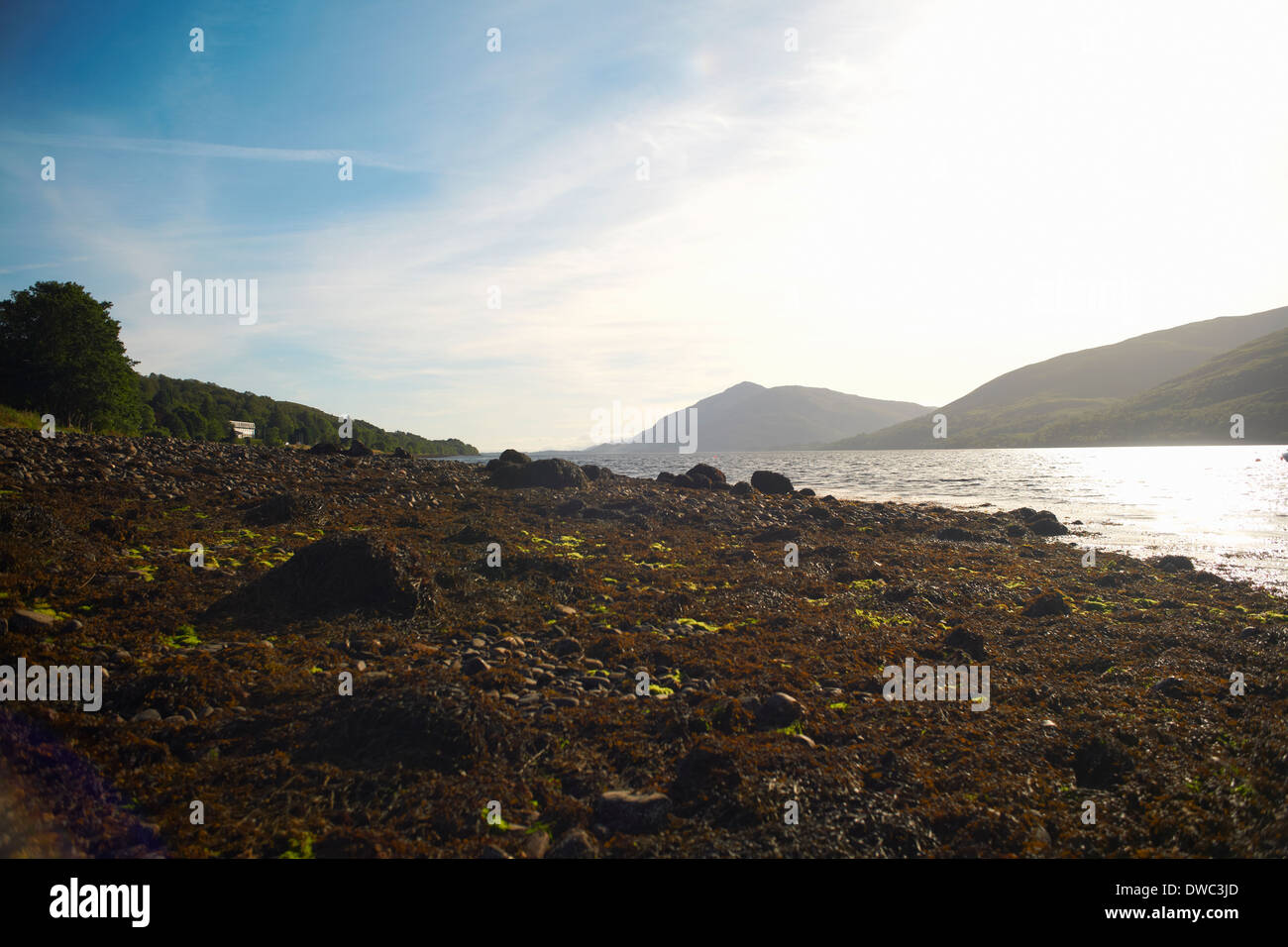 Loch linnhe fort william hi-res stock photography and images - Alamy