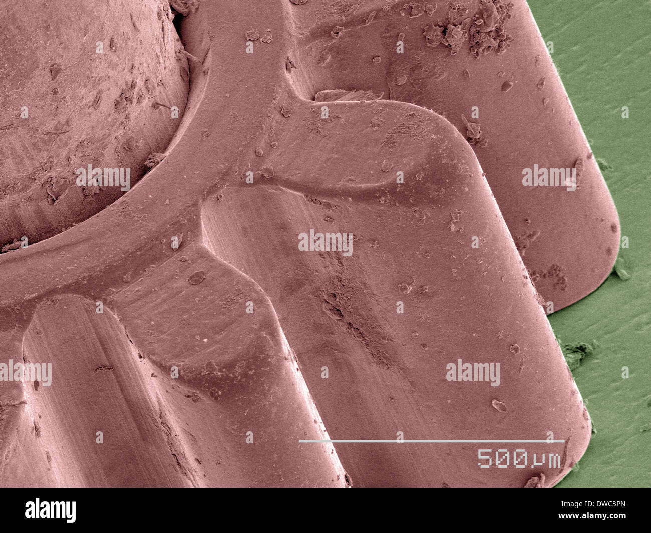 Coloured SEM of watch part Stock Photo - Alamy