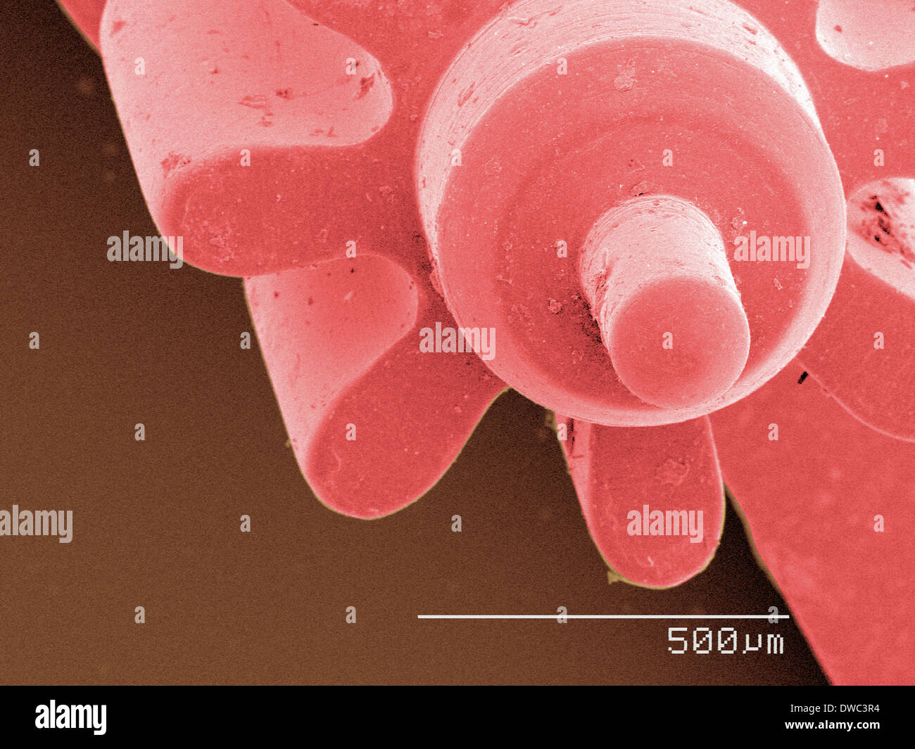 Coloured SEM of watch part Stock Photo - Alamy