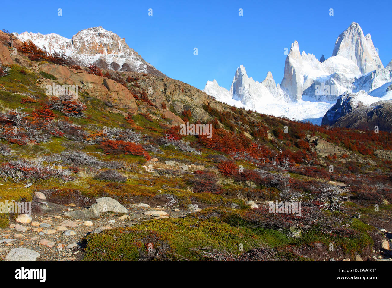 Beautiful nature landscape with Mt. Fitz Roy as seen in Los Glaciares ...
