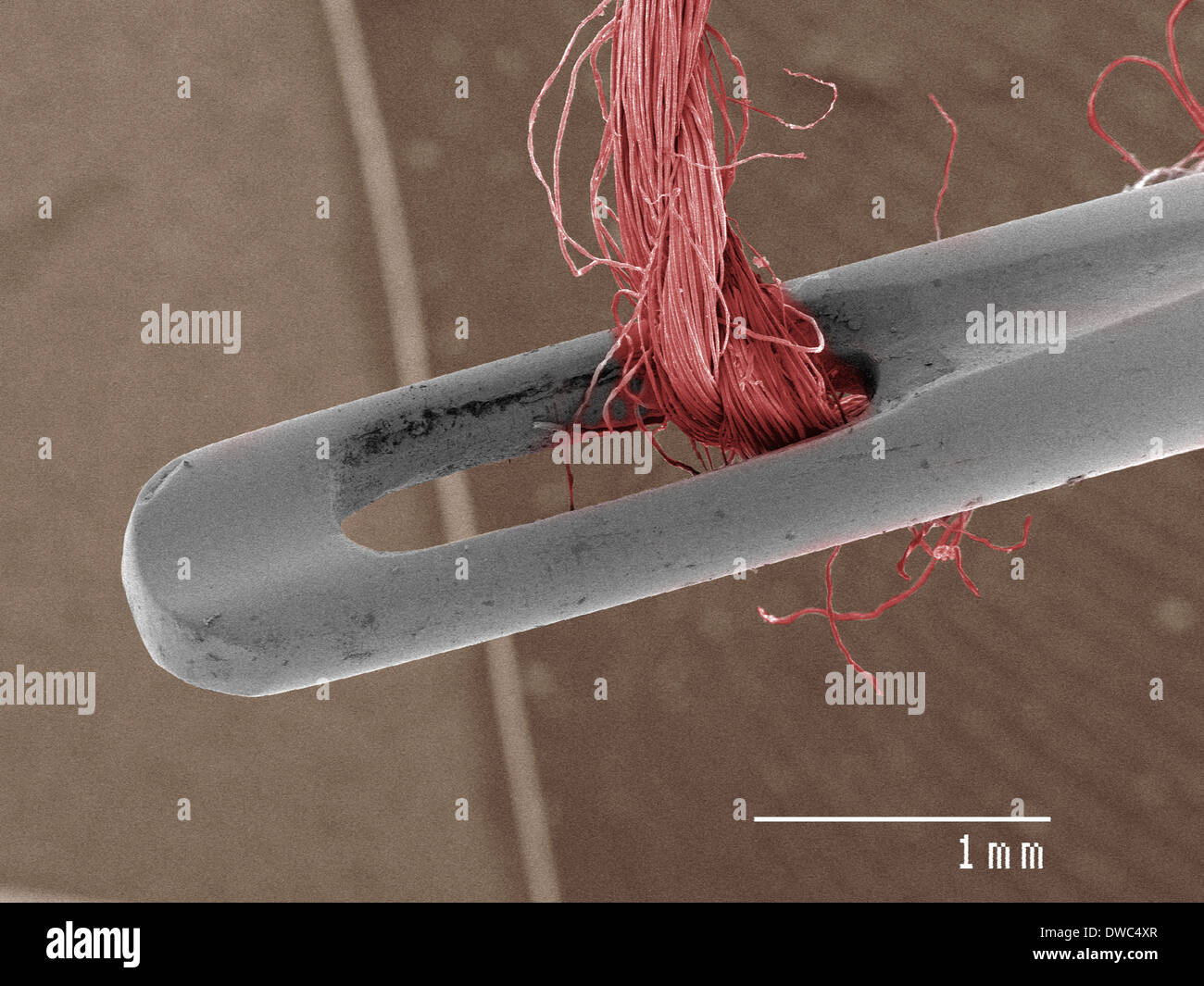 Threading needle thread hi-res stock photography and images - Alamy