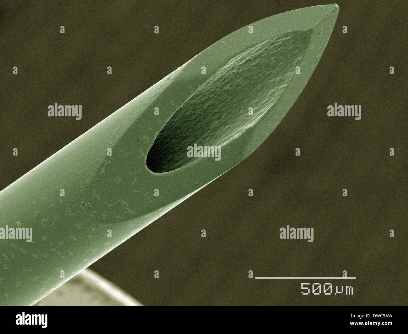 Ermic needles hi-res stock photography and images - Alamy