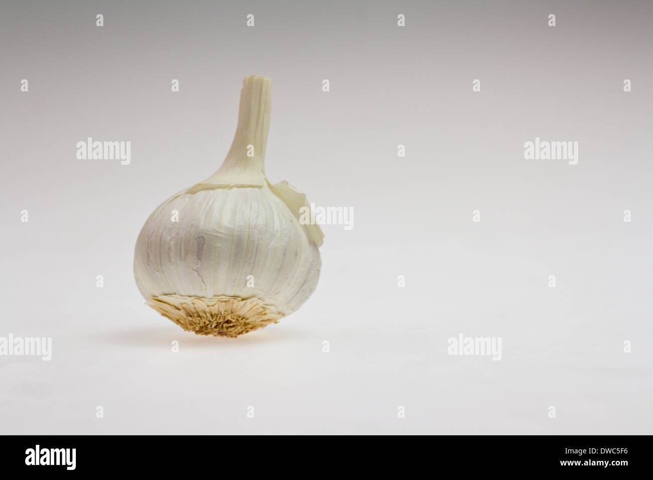 Frying with garlic hi-res stock photography and images - Alamy