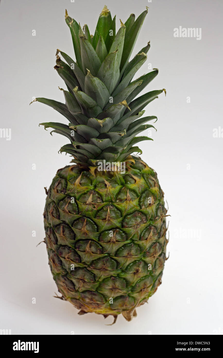 Pineapple for kids hi-res stock photography and images - Alamy