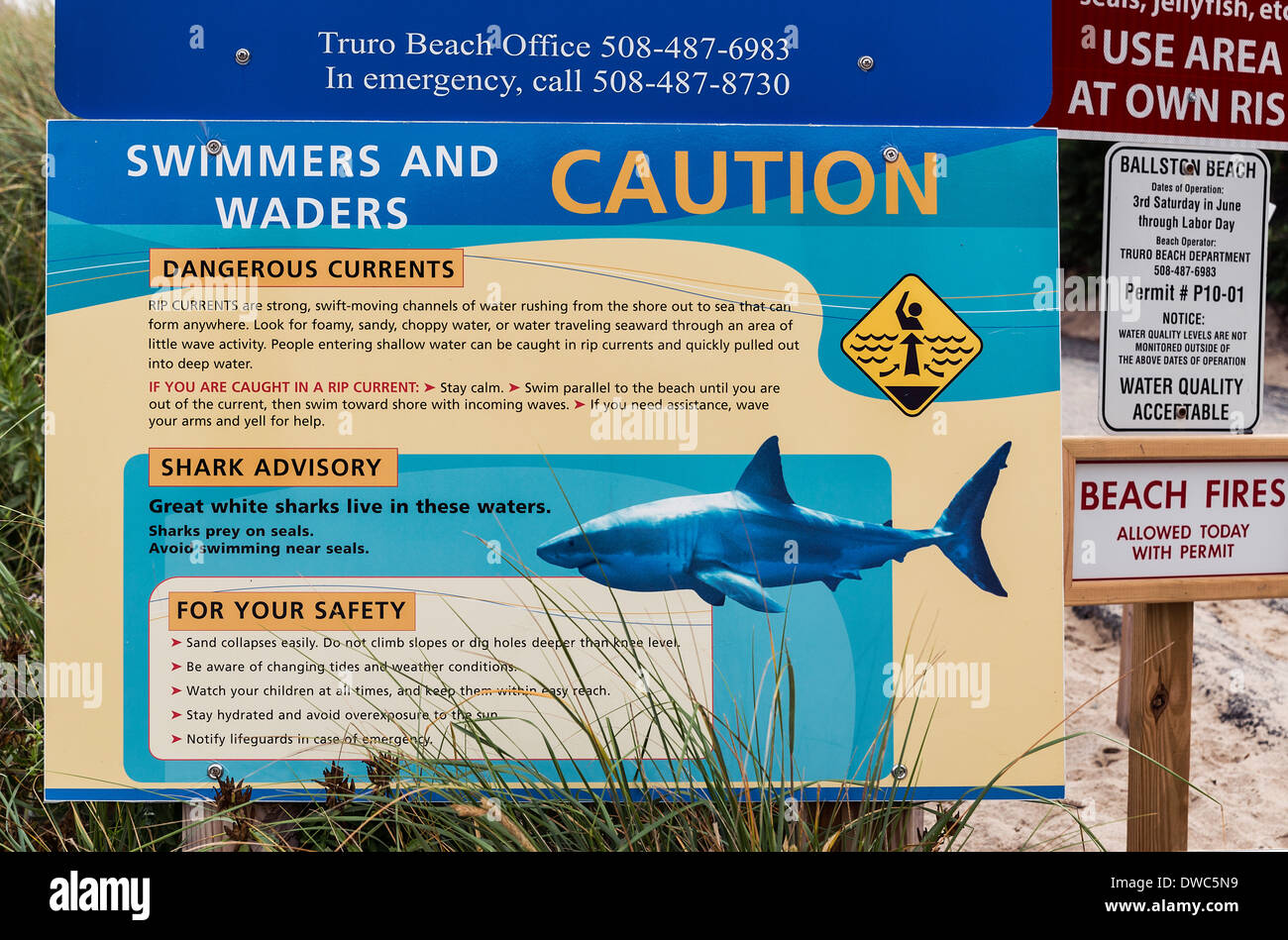 Shark warning and beach advisory, Truro, Cape Cod, Massachusetts, USA ...