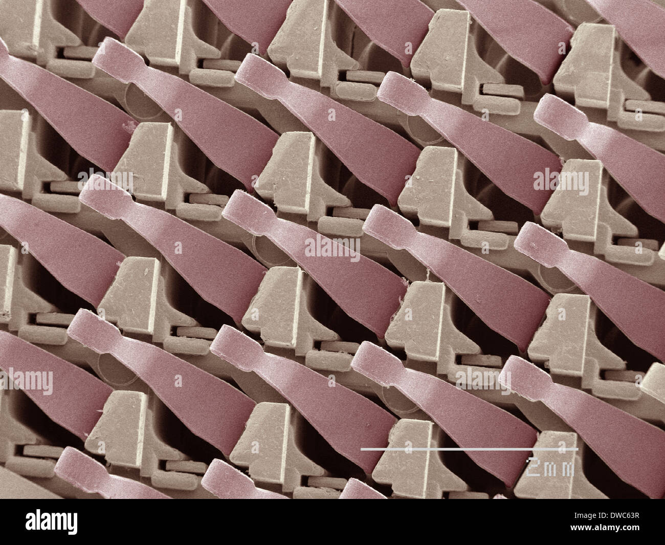 Computer Chips Stacked Under Microscope