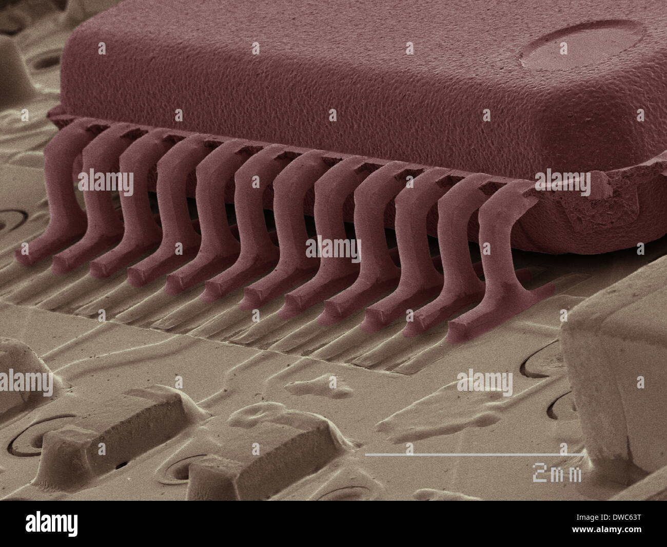 Silicon chip microscopic view hi-res stock photography and images - Alamy
