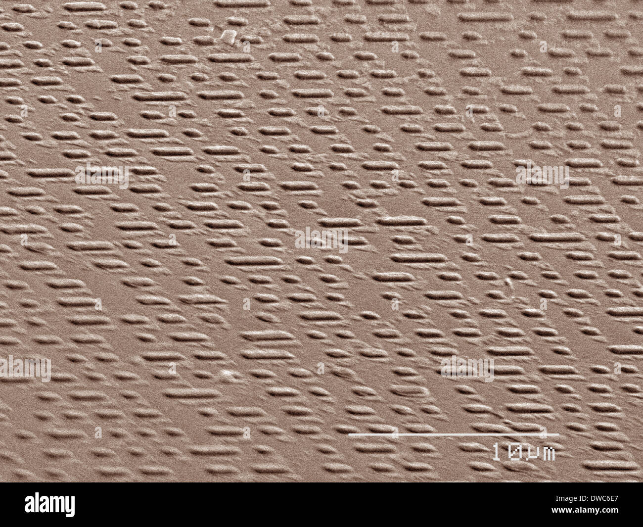 Disc management hi-res stock photography and images - Alamy