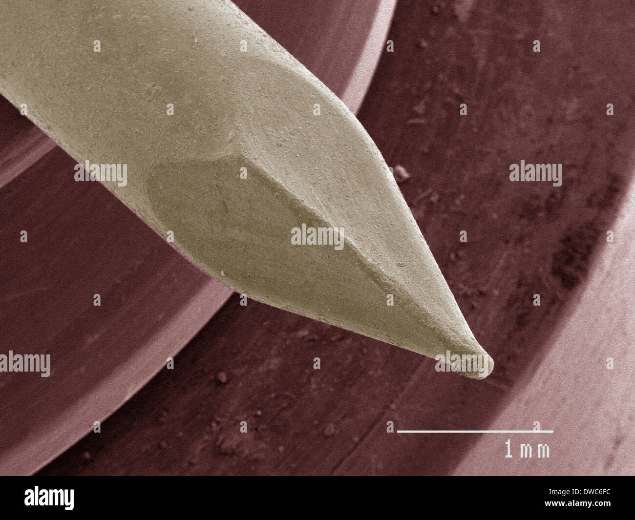 Kernagel hi-res stock photography and images - Alamy