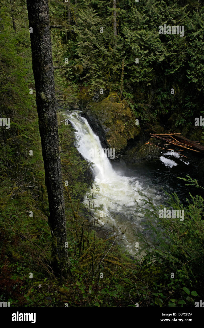 WASHINGTON - Lower Wallace Falls in Wallace Falls State Park near Gold ...