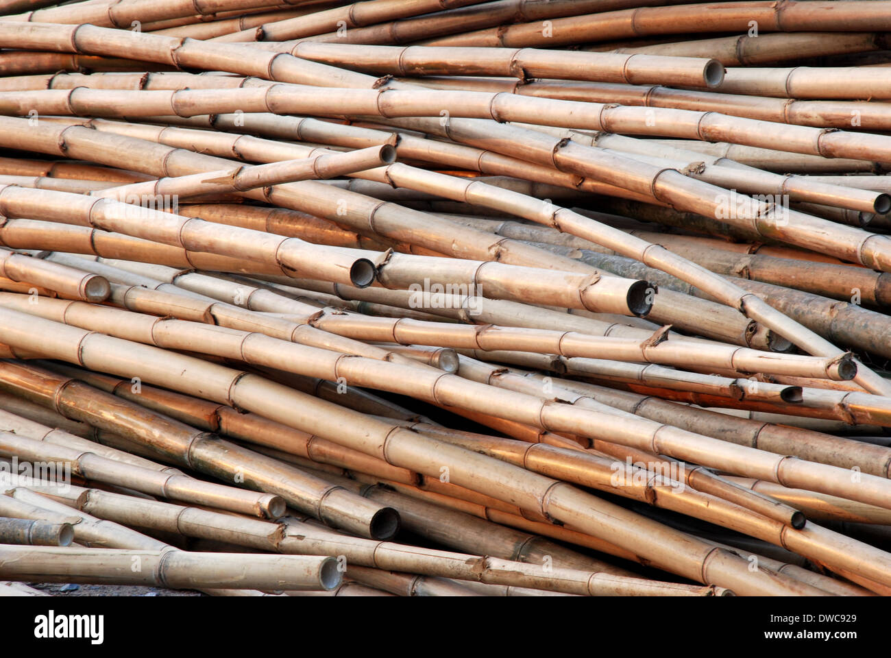Bamboo sticks raw material for constructions of Asian Stock Photo - Alamy