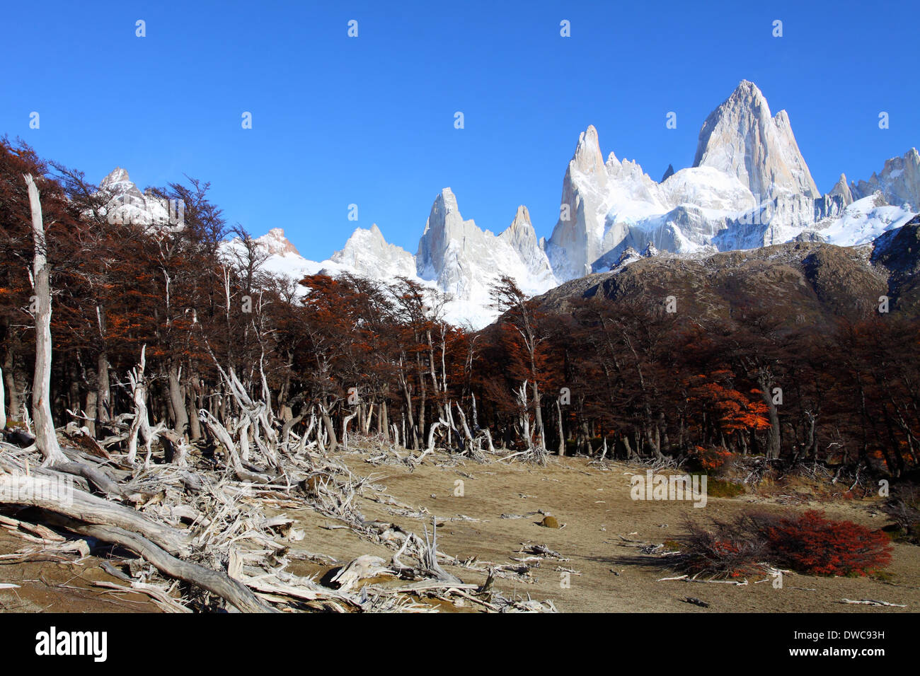 Beautiful nature landscape with Mt. Fitz Roy as seen in Los Glaciares ...