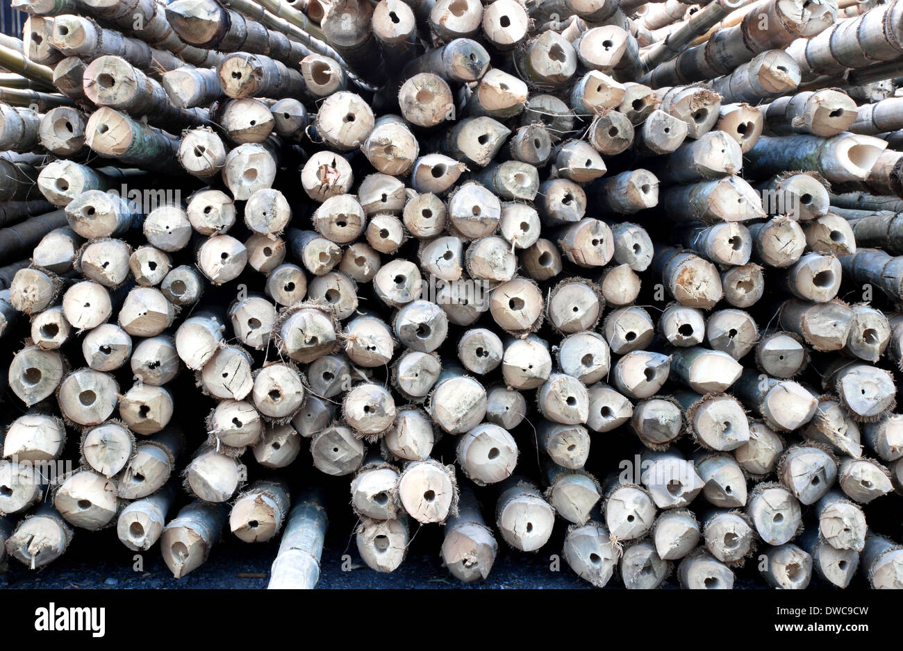 Bamboo sticks raw material for constructions of Asian Stock Photo - Alamy