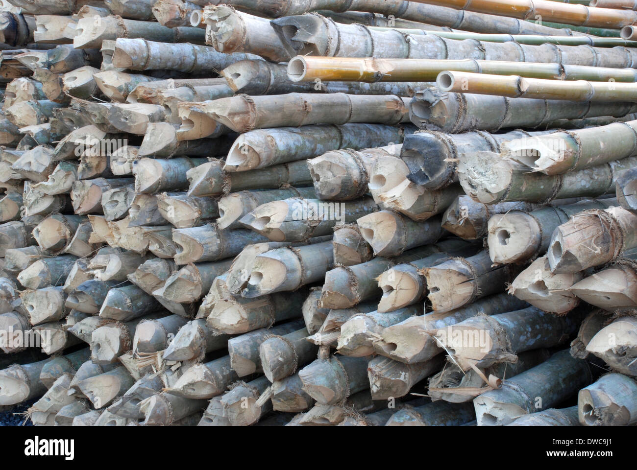 Bamboo sticks raw material for constructions of Asian Stock Photo - Alamy