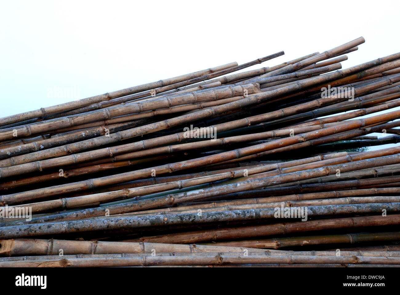 Bamboo sticks raw material for constructions of Asian Stock Photo - Alamy