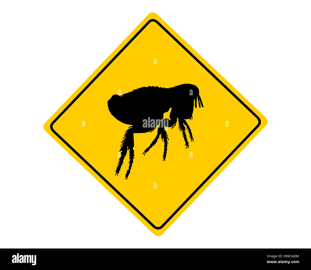 Flea warning sign Stock Photo - Alamy