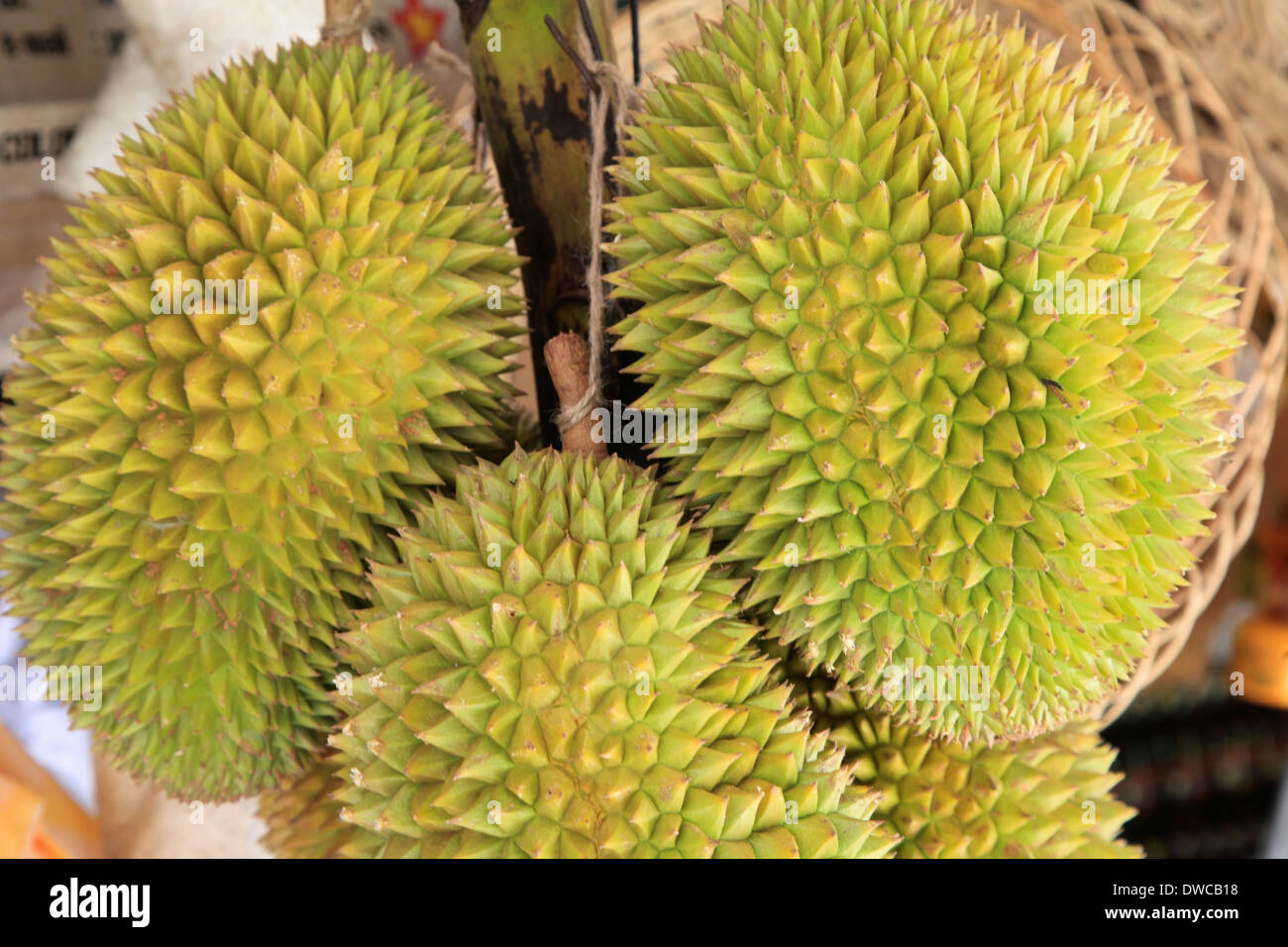 Sri Lanka; Kandy; market, durian, fruit Stock Photo - Alamy
