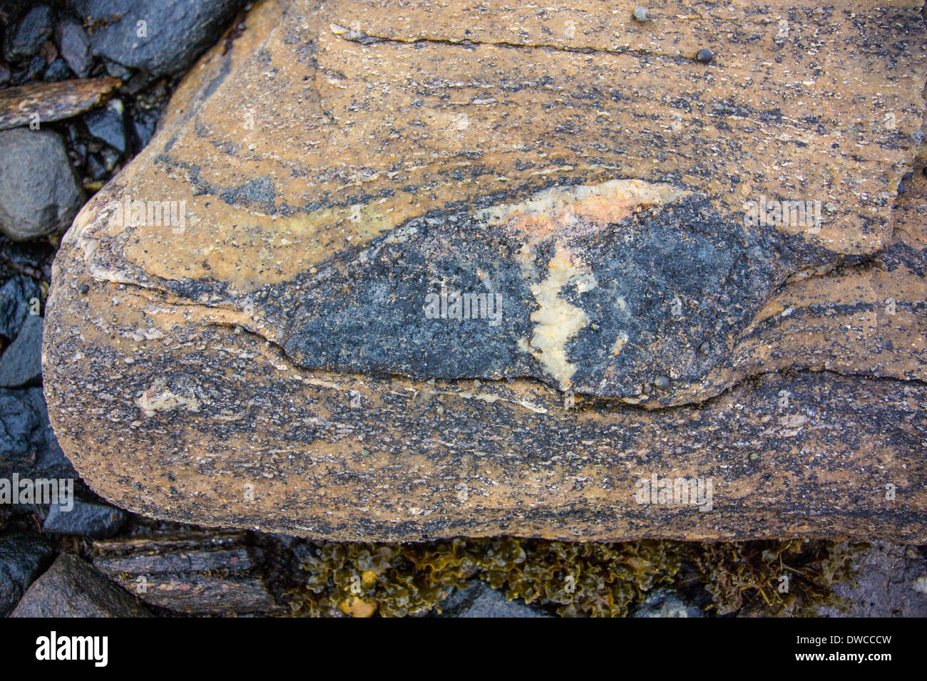 Gneis hi-res stock photography and images - Alamy