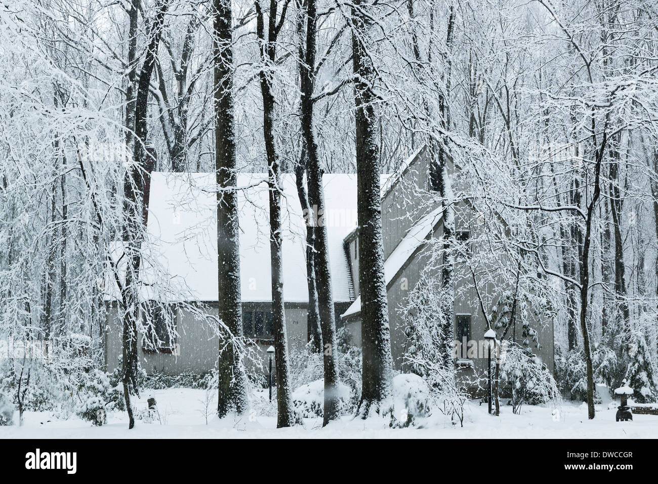 Snow Falling On Houses