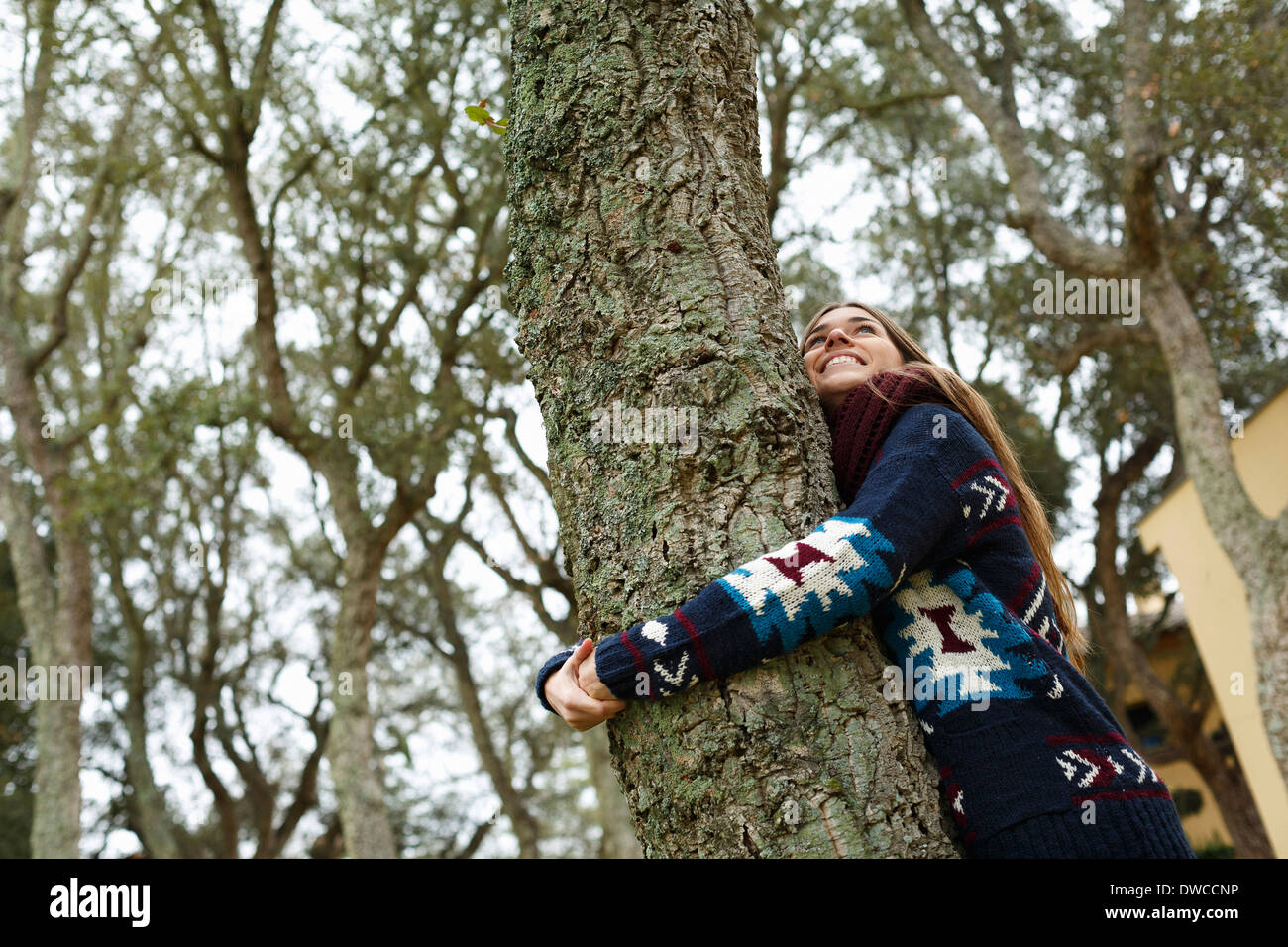 Hugging tree hi-res stock photography and images - Alamy