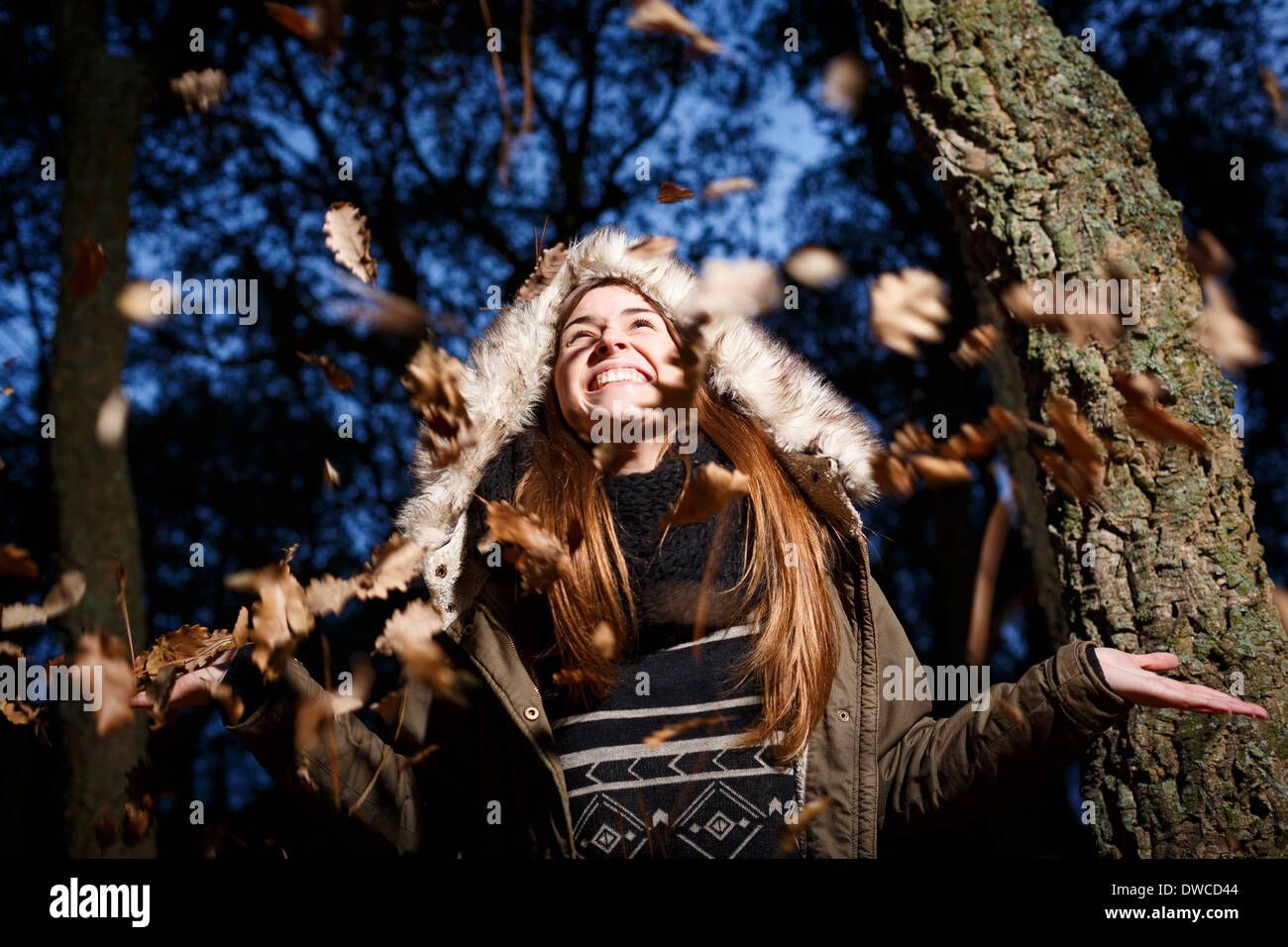 Scattering hi-res stock photography and images - Alamy