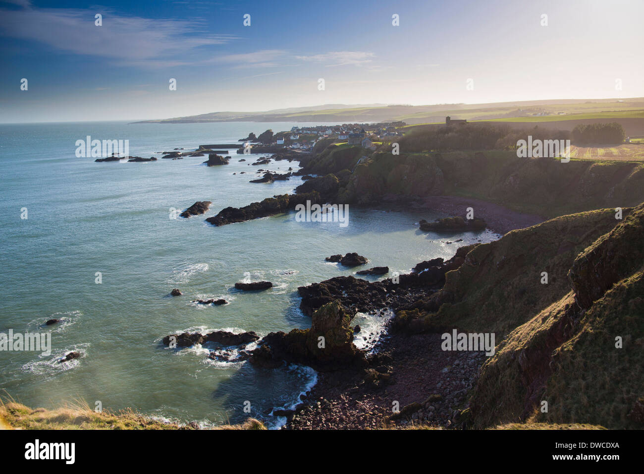 St Abbs, Berwickshire, Scotland Stock Photo - Alamy
