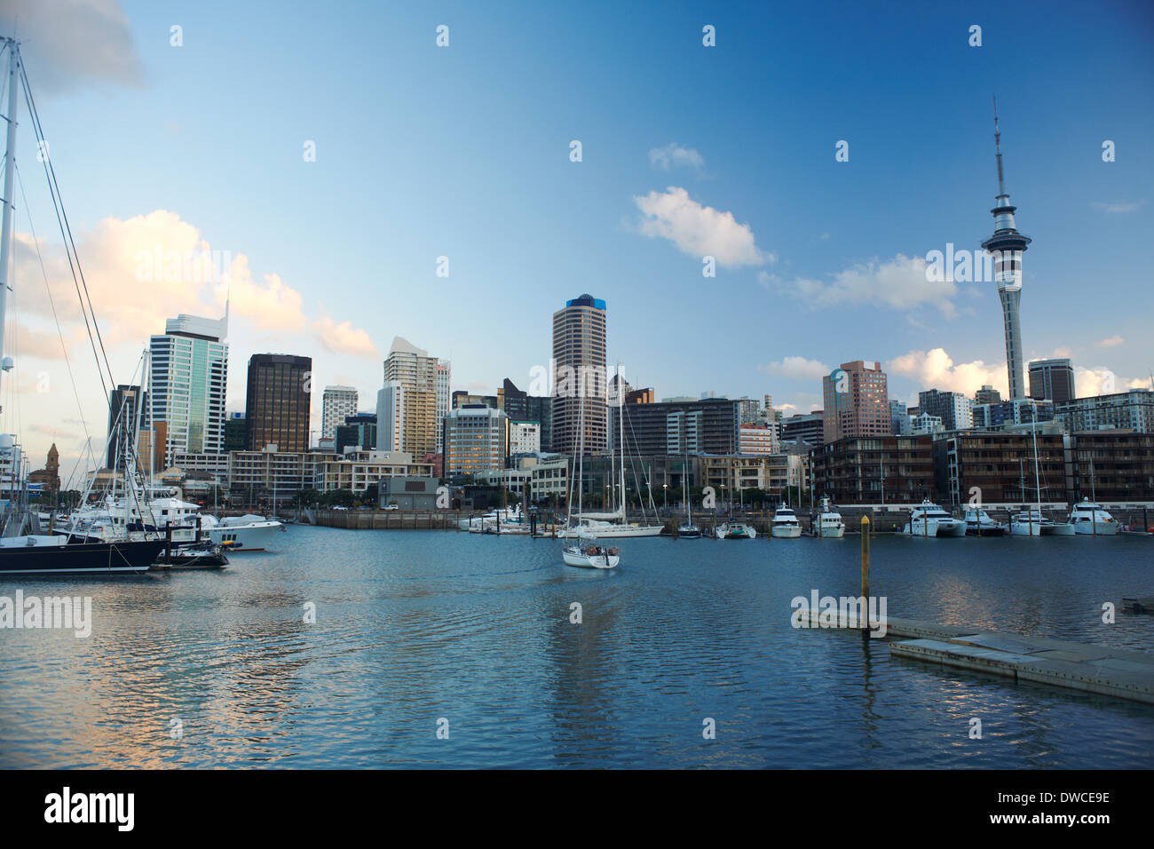 Auckland new zealand skyline hi-res stock photography and images - Alamy