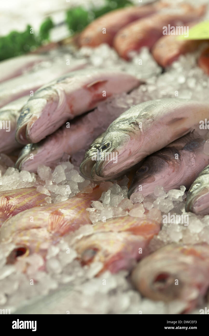 Fish market external hi-res stock photography and images - Alamy