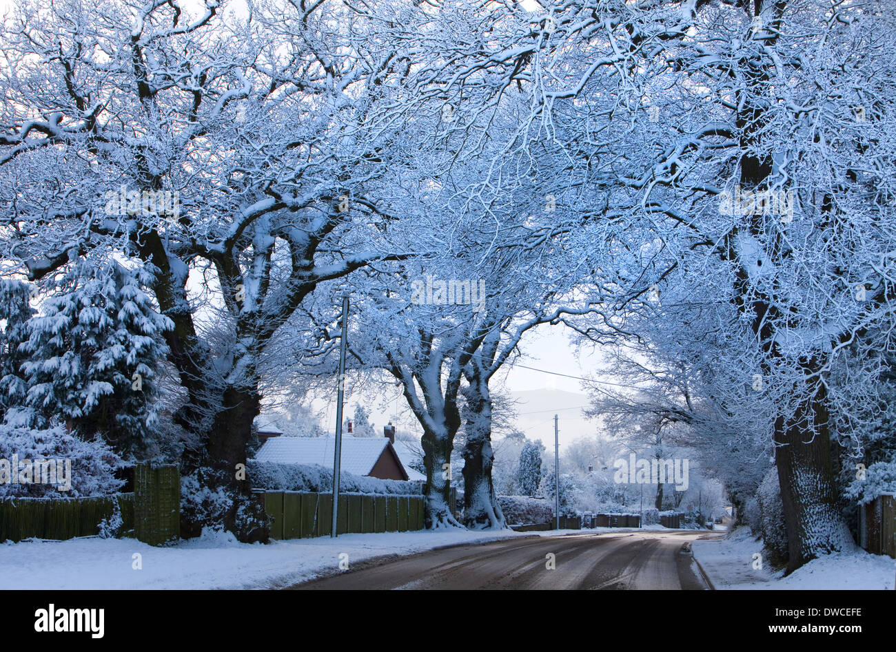 Winter scene of snow covered lane with shafts of sunlight coming ...