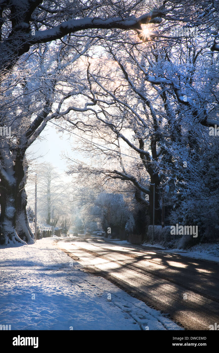 Winter scene of snow covered lane with shafts of sunlight coming ...