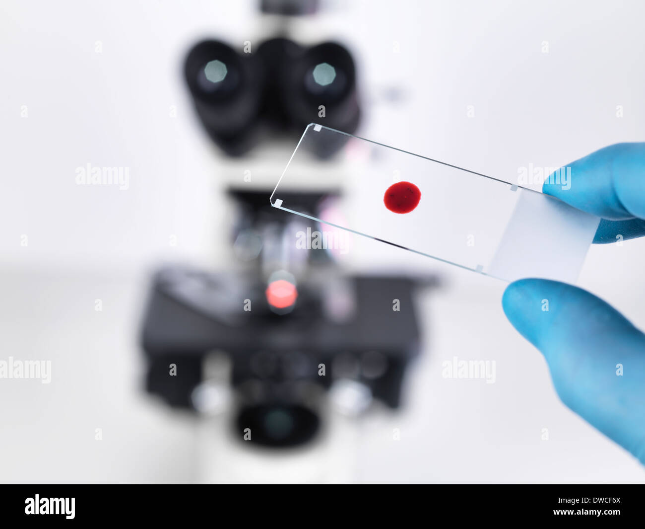 Compound microscope hi-res stock photography and images - Alamy