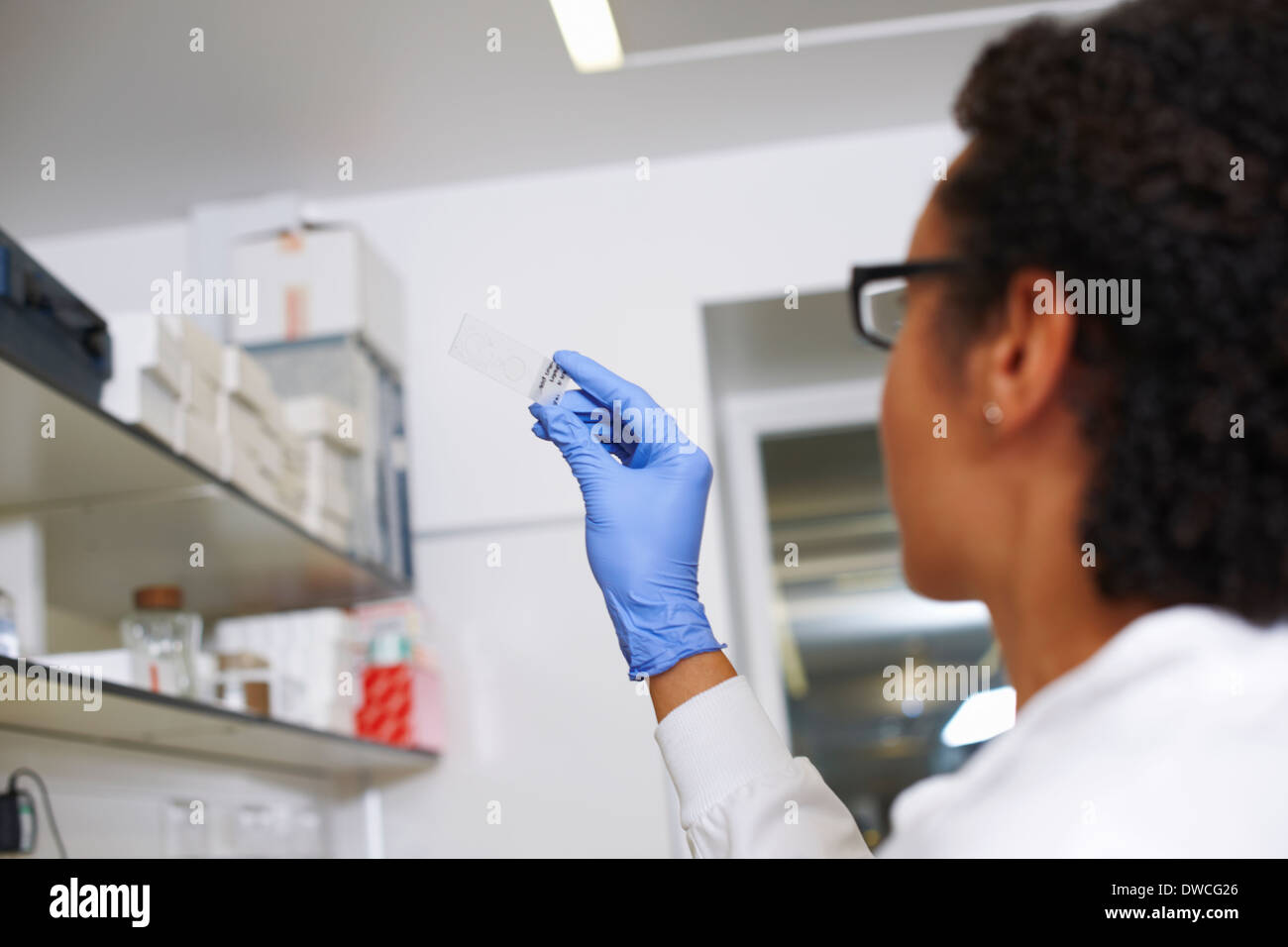 Female scientist looking at microscopic slide Stock Photo - Alamy