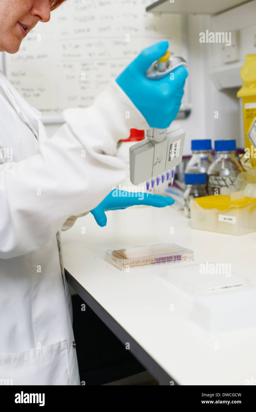 Multi pipette hi-res stock photography and images - Alamy