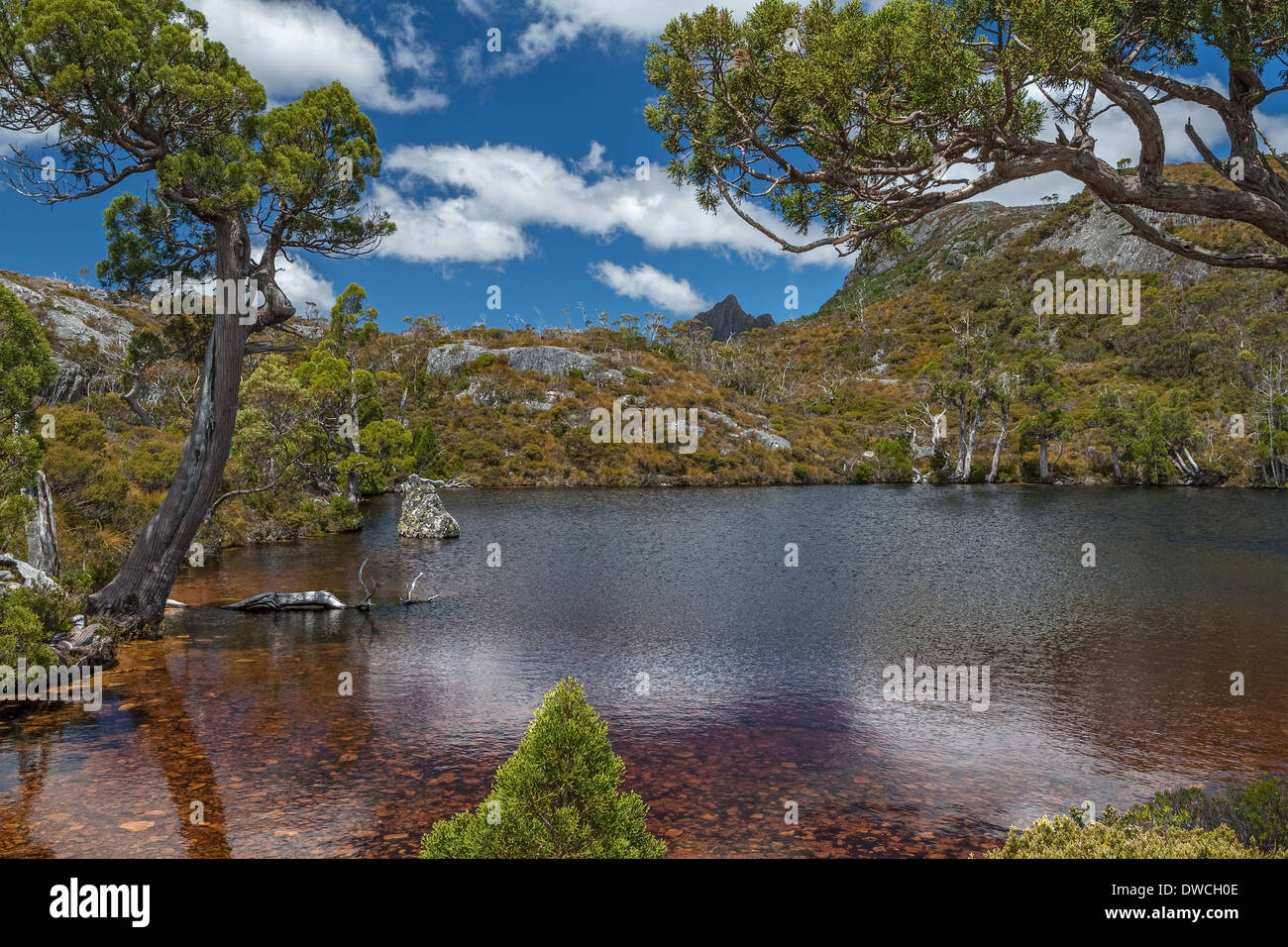 Wombat Pool with Cradle Mountain in distance, Cradle Mountain National ...