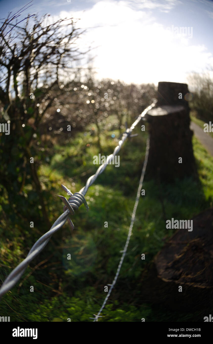single detail on a barbed wire hook on a new galvanised wired fence to ...
