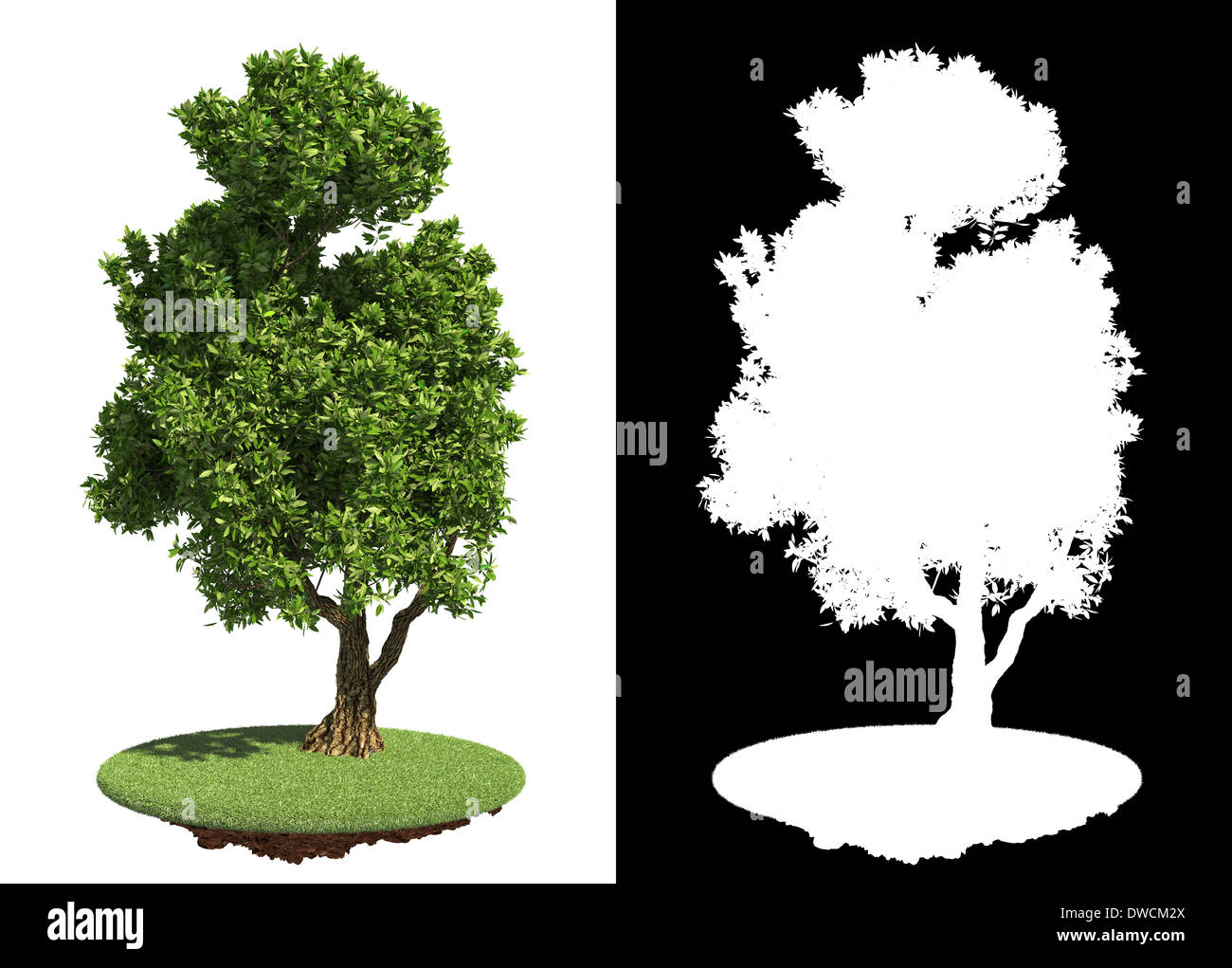 Green Tree with Detail Raster Mask Stock Photo - Alamy