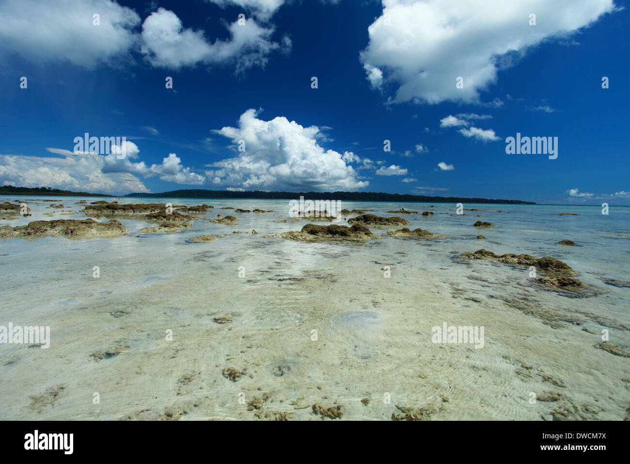 Blue sky and clouds in Havelock island. Andaman islands, India Stock ...